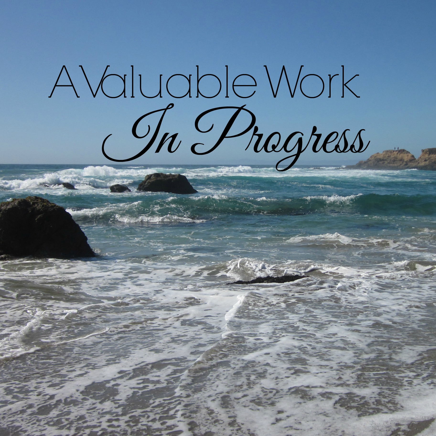 A Valuable Work In Progress | Biting My Thyme